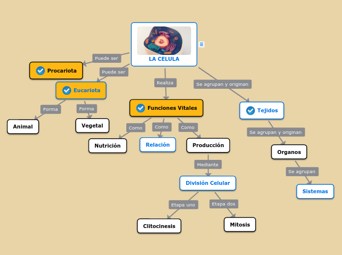 LA CELULA - Mind Map